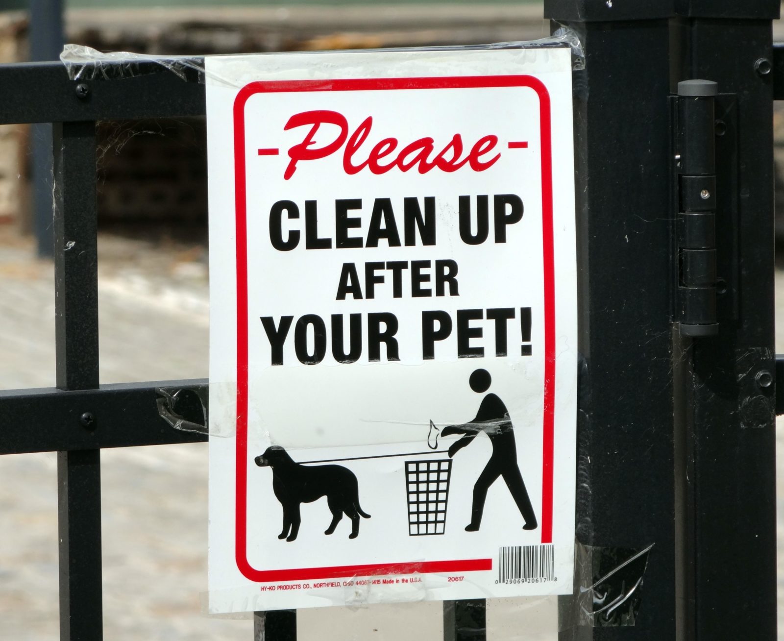 Pet Cleaning 101: Keep a Pet-Friendly Home Clean - INTEK Cleaning ...